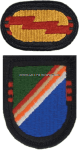 ARMY FLASHES AND OVALS