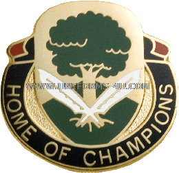 U.S. ARMY 222ND SUPPORT BATTALION UNIT CREST (DUI)