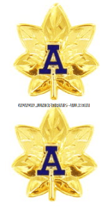 COAST GUARD AUXILIARY DIVISION VICE COMMANDER COLLAR DEVICE