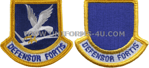 AIR FORCE SECURITY FORCE FLASH ENLISTED FULL COLOR