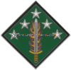 ARMY CSIB BADGE