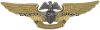 USPHS RANK INSIGNIAS & BADGES