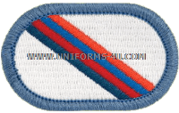 U.S. ARMY 101ST AIRBORNE DIVISION, 3RD BCT, SPECIAL TROOPS BATTALION OVAL
