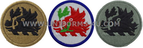 GEORGIA NATIONAL GUARD ACU MILITARY PATCH