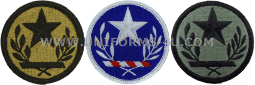 TEXAS NATIONAL GUARD ACU MILITARY PATCH