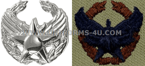 USAF COMMAND INSIGNIA PIN