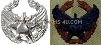 USAF COMMAND INSIGNIA PIN