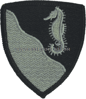 US ARMY 36TH ENGINEER GROUP PATCH
