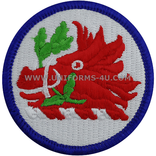 US ARMY GEORGIA NATIONAL GUARD PATCH